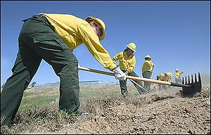 All-Female Inmate Wildland Firefighting Crew is a First for Arizona ...
