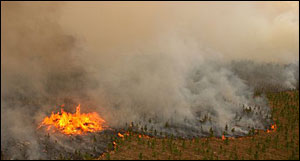 Georgia Wildfire 70 Percent Contained | Firehouse