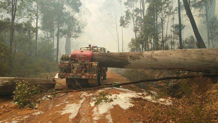 Australian Brush Fire Truck Crushed by Tree | Firehouse