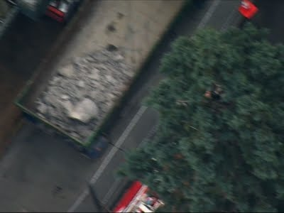 Man Climbs Tree in Downtown Seattle | Firehouse