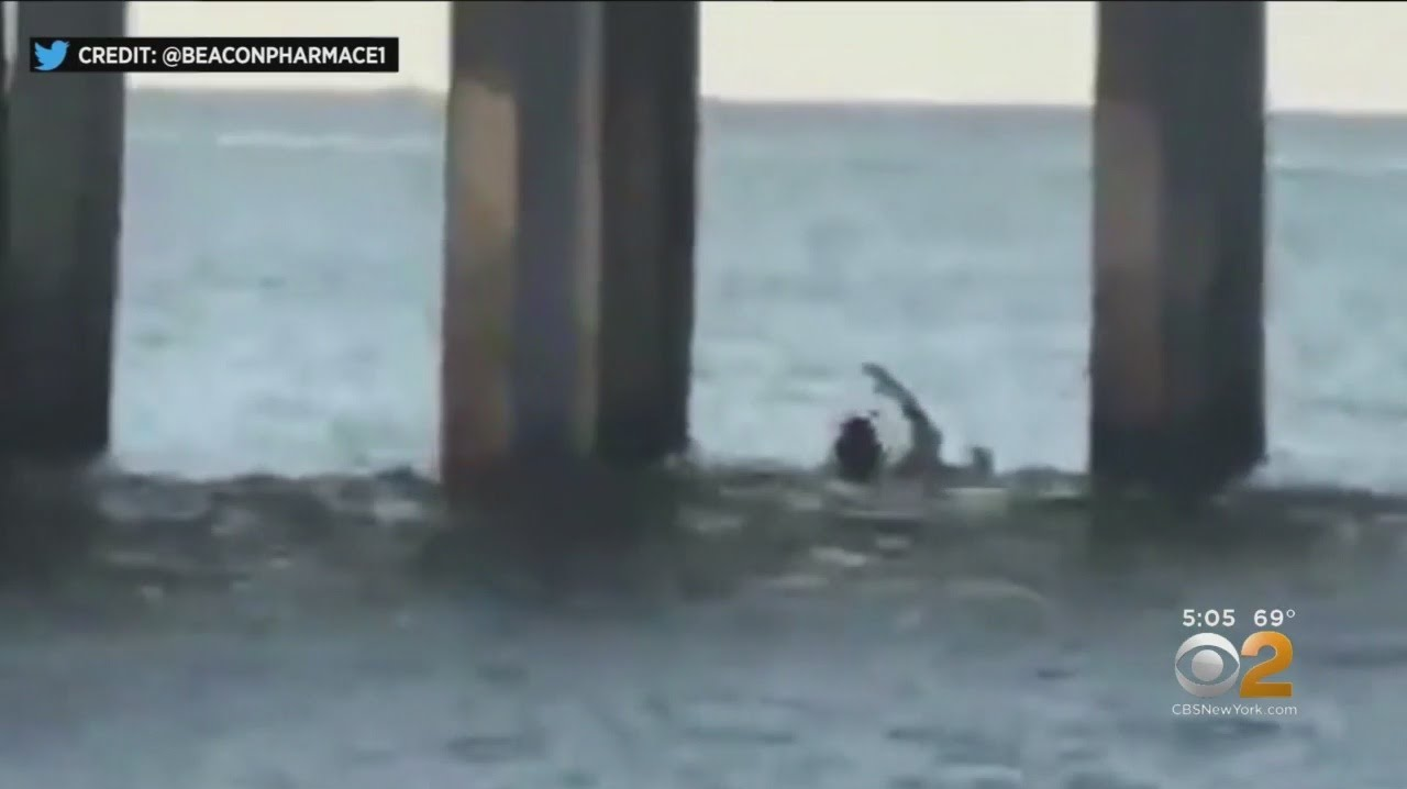 FDNY Firefighters Rescue Woman who Fell from Pier | Firehouse