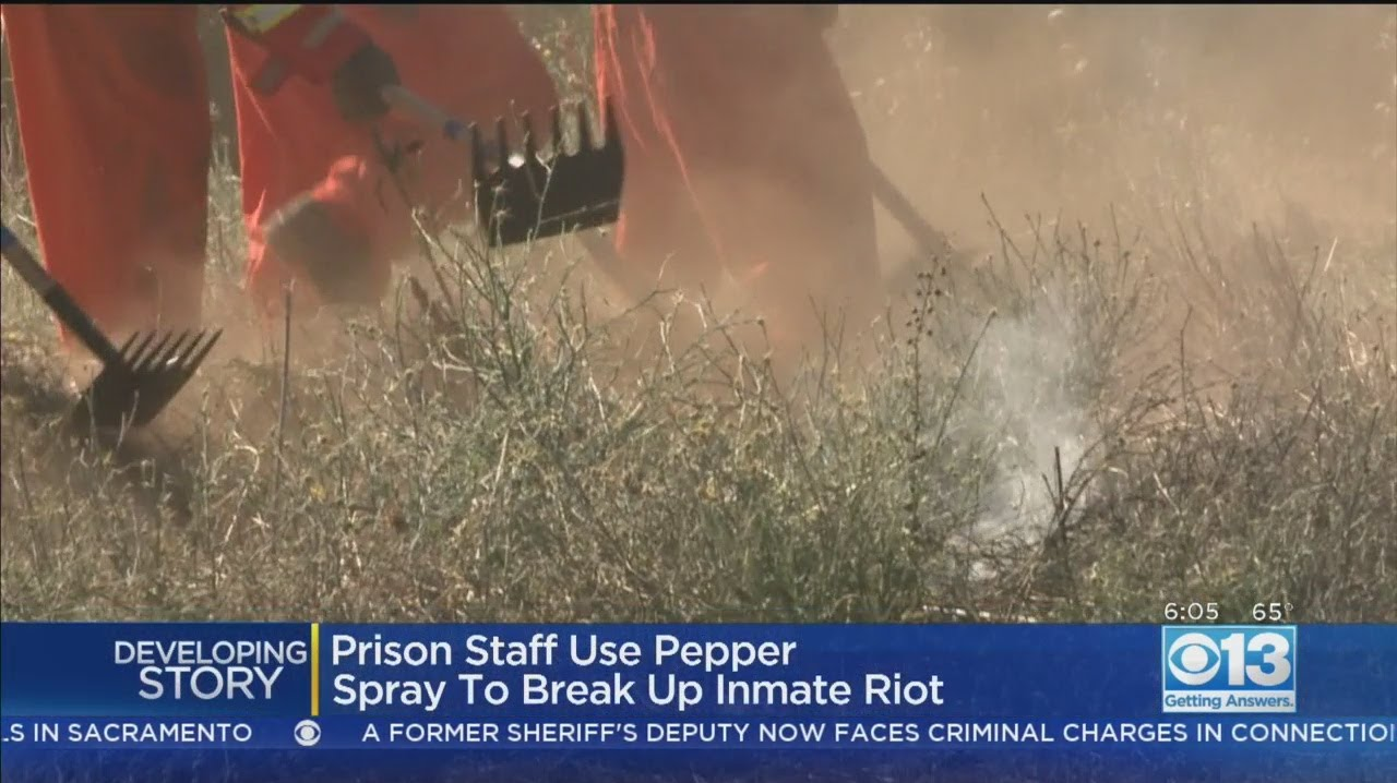 Four Hurt in Riot at CA Prison Firefighting Camp | Firehouse