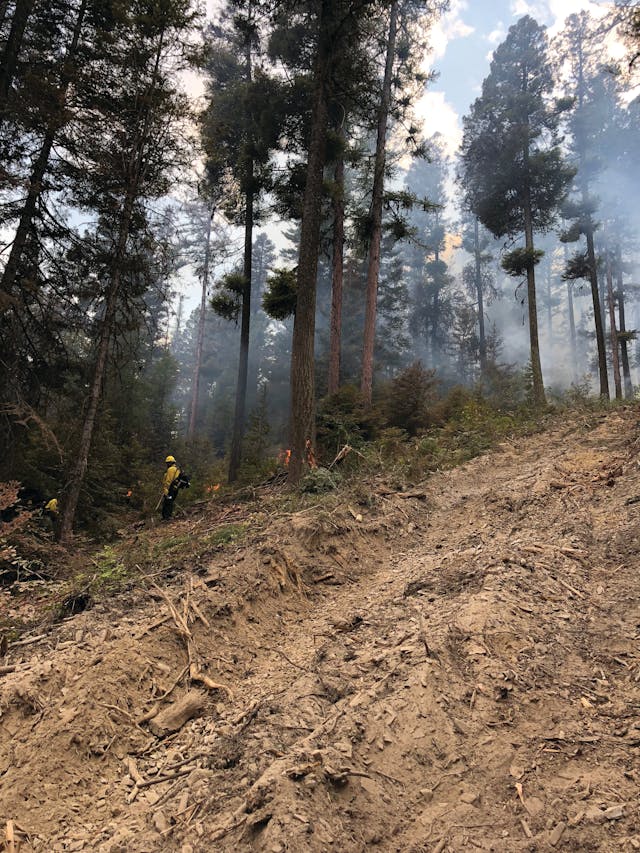 Wildland Fires: Contain & Control | Firehouse