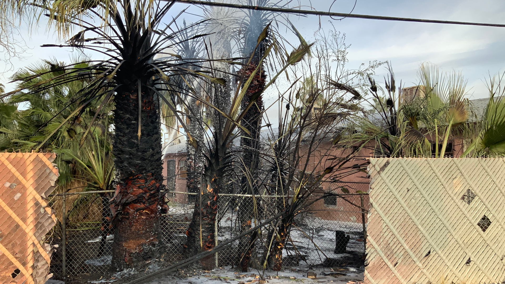 Watch Las Vegas FFs Douse Intense Palm Tree, Apartment Blaze | Firehouse