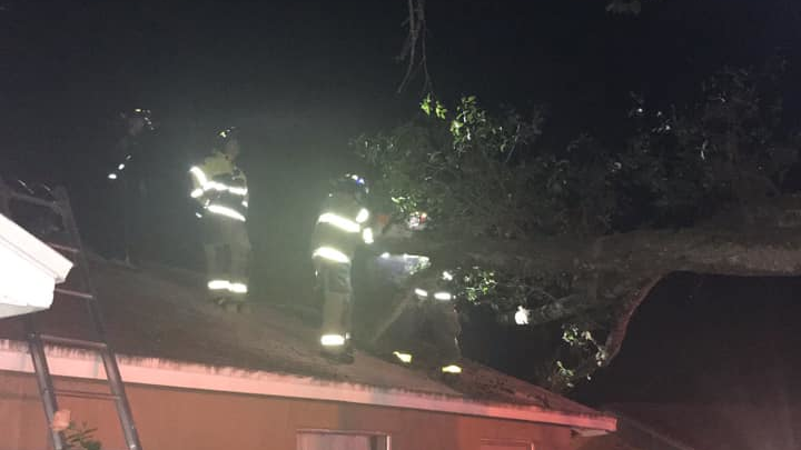 FL Firefighters Help Family's Thanksgiving after Tree Fall | Firehouse
