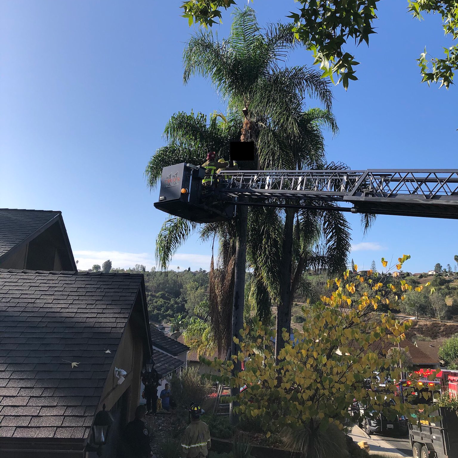 CA Firefighters Rescue Tree Trimmer Stuck 30 Feet Up | Firehouse