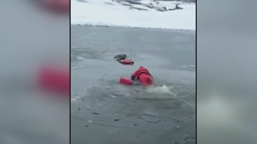 Watch NY Firefighter Crawl across Ice to Save Dog from Icy Water ...
