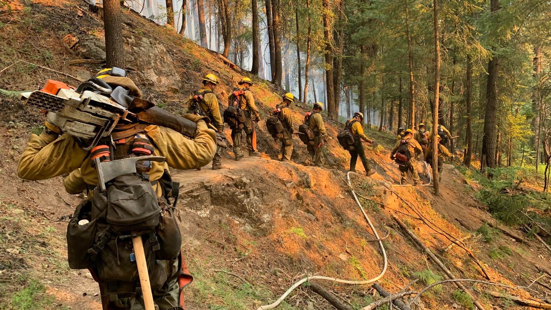 New AZ Bill Increases Inmate Firefighter Training | Firehouse