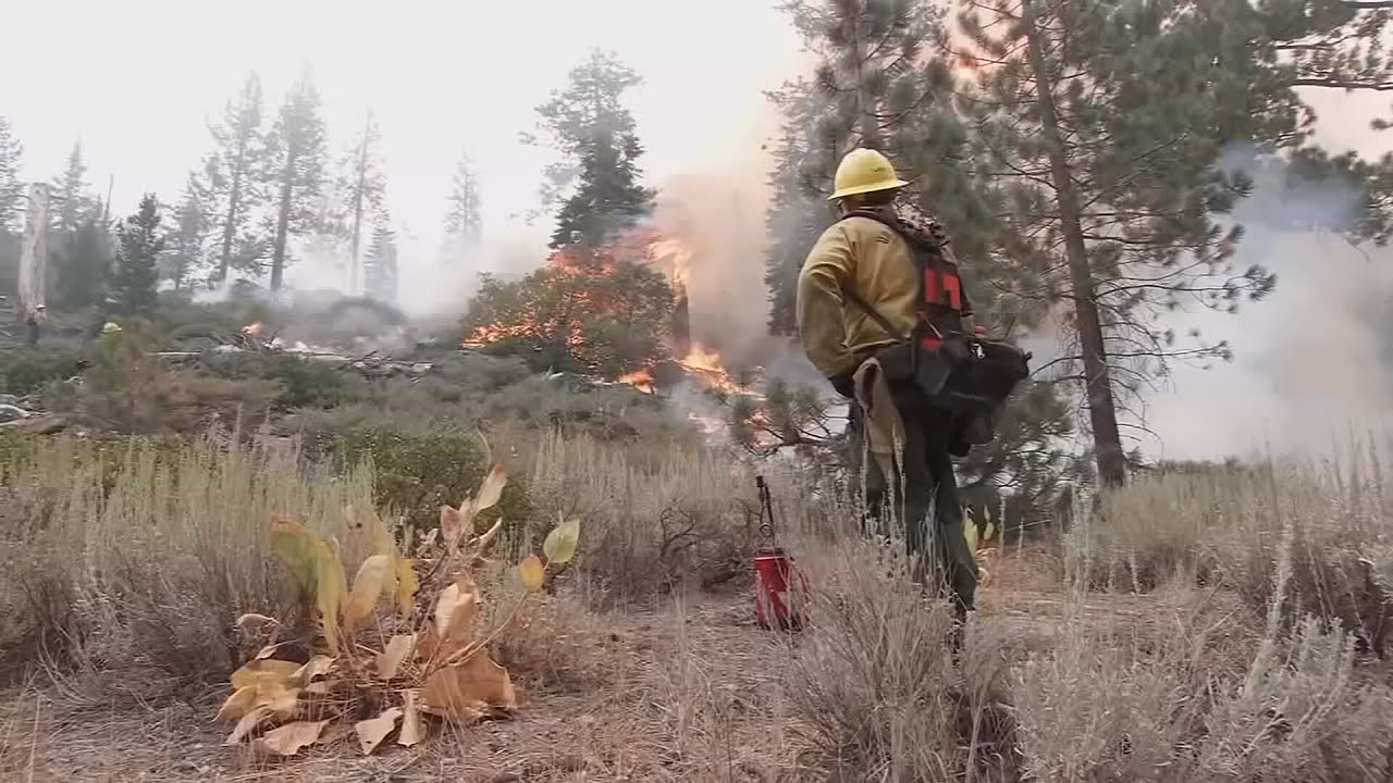 University of AZ Looking at Cancer in Wildland FFs | Firehouse