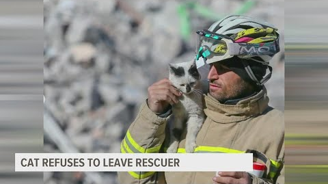 Cat Rescued from Turkish Earthquake Won't Leave Firefighter's Side ...