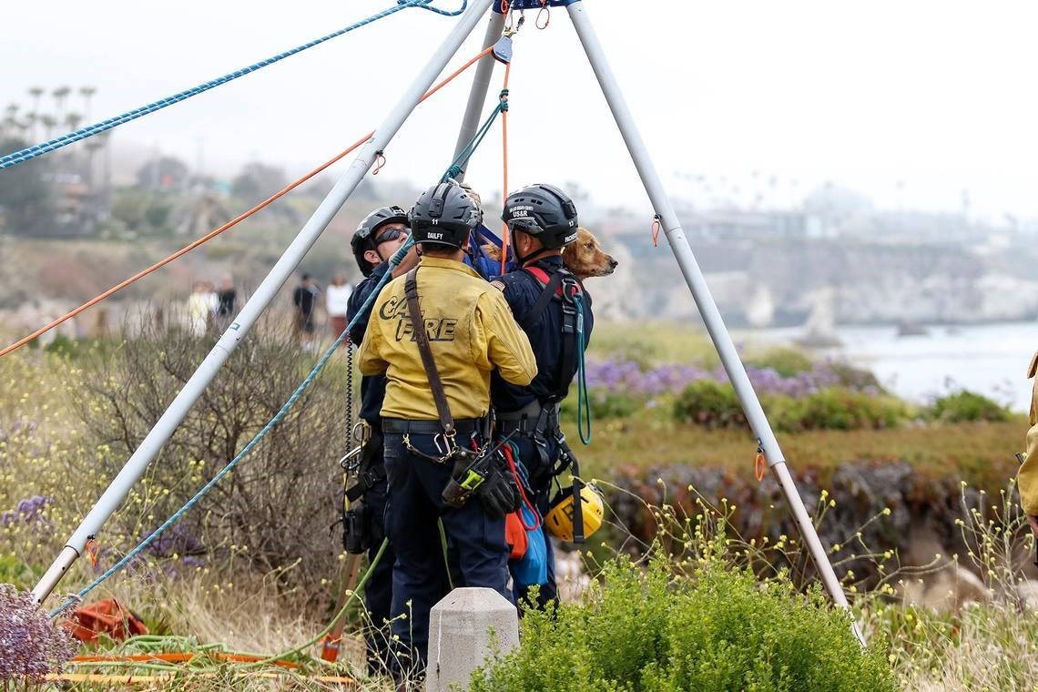 CAL Firefighters Rescue Man, Dog Trapped on Beach | Firehouse