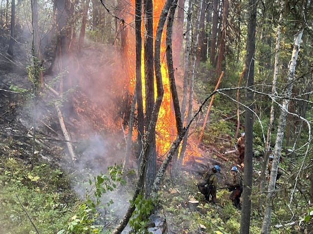 Fire Provides Opportunity for Research as it Burns Experimental Area in ...