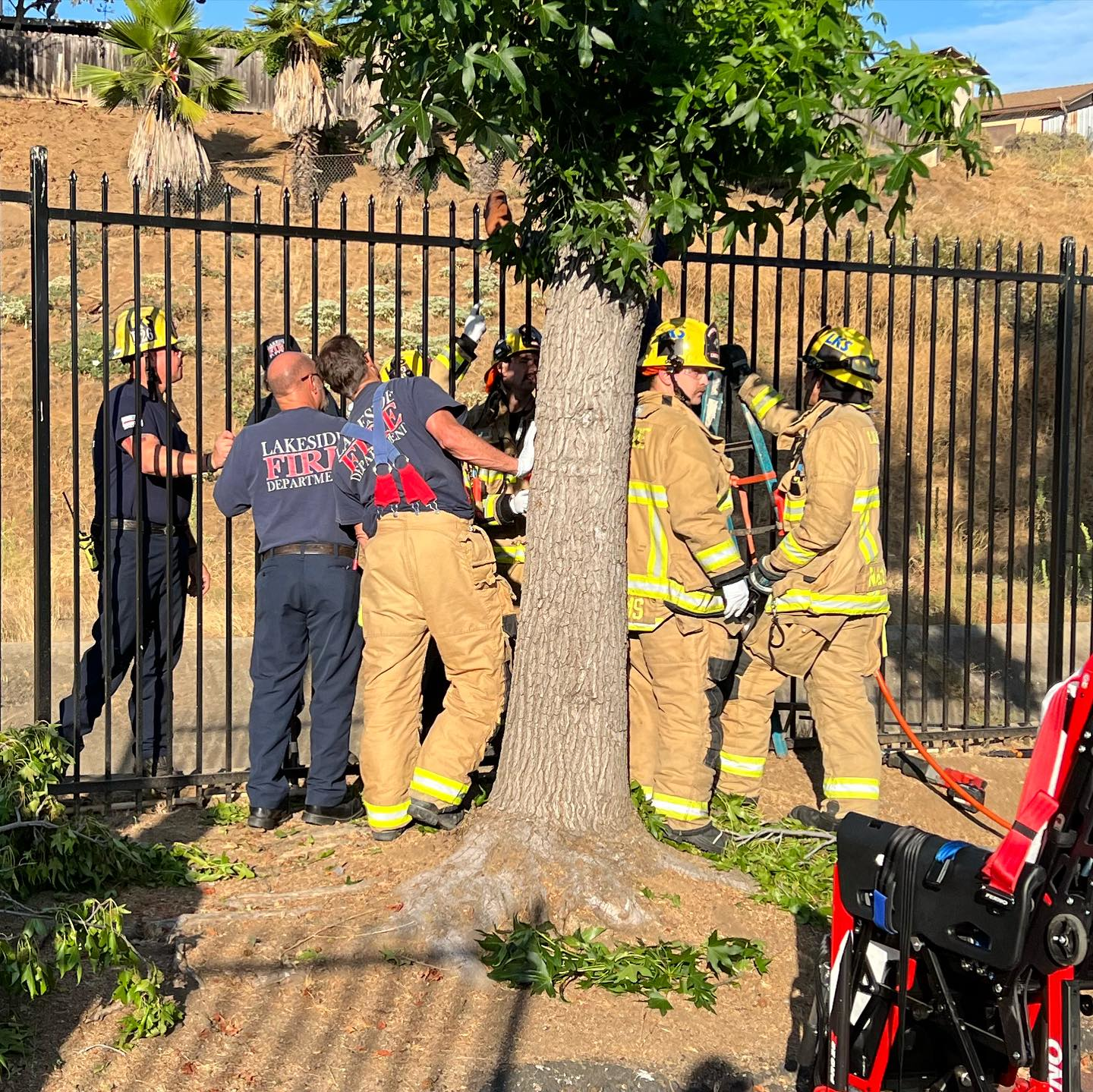 Lakeside CA Tree Trimmer's Arm Impaled on Fence | Firehouse