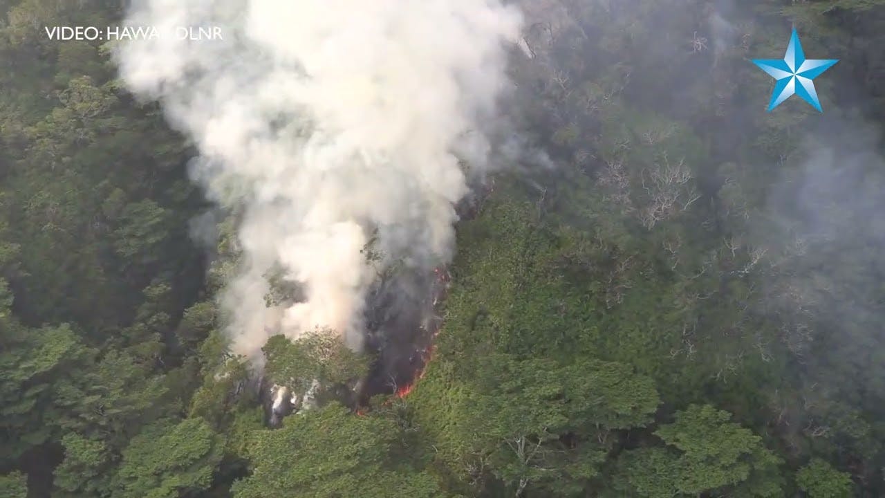 Honolulu Firefighters Battling Wildfire on Mililani Mauka | Firehouse