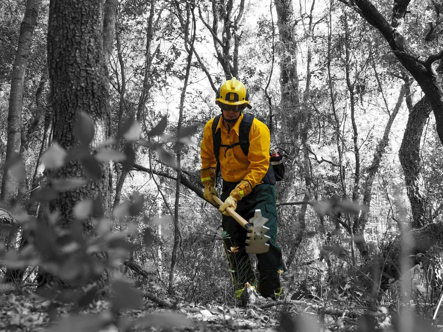 Wildfire Suppression: Considerations for the Structural Firefighter ...