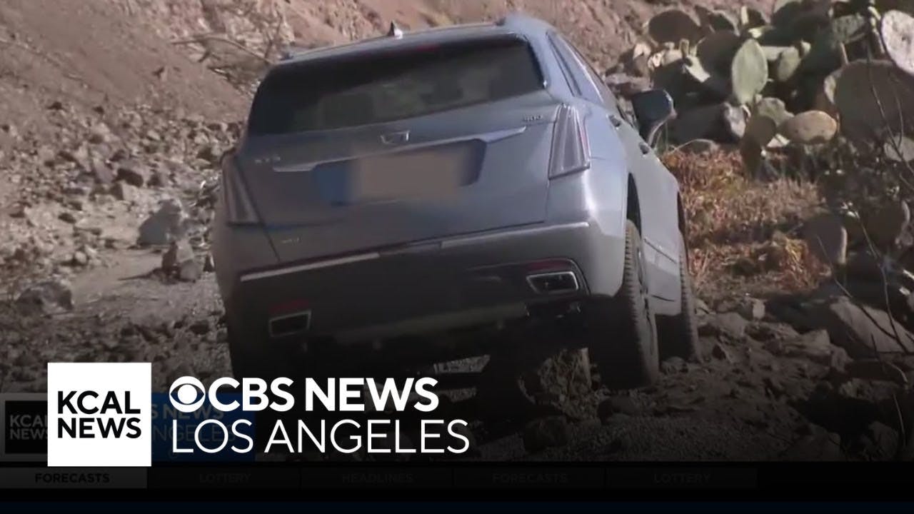 Woman, Los Angeles County Fire Captain Have Emotional Virtual Reunion ...