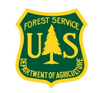 U.S. Forest Service Workers Return to Woods, but Futures Uncertain ...