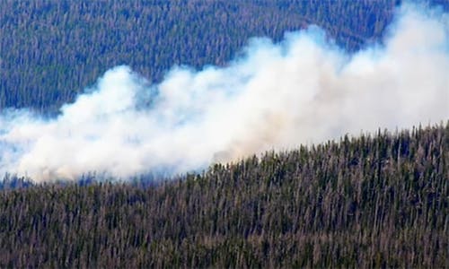 Enhancing Communications for Wildland Fire Response | Firehouse