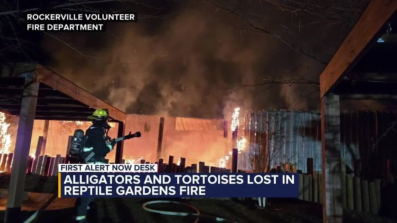 Fire at Rockerville, SD, Reptile Zoo Kills Alligators, Tortoises ...